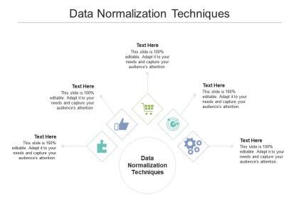 Data Normalization Techniques PowerPoint Presentation And Slides PPT Sample SlideTeam