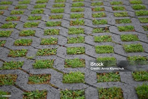 잔디가 있는 콘크리트 잔디 창살 회색 자연석으로 만든 사각형 타일의 배경 질감 도로의 콘크리트 가로 기하학적 포장 패턴 녹색 잔디 및 생태 주차장 녹색 주차 지속 가능한