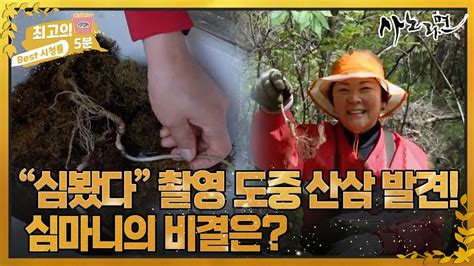 최고의 분 사노라면 심봤다 촬영 도중 산삼 발견 심마니의 비결은 YouTube
