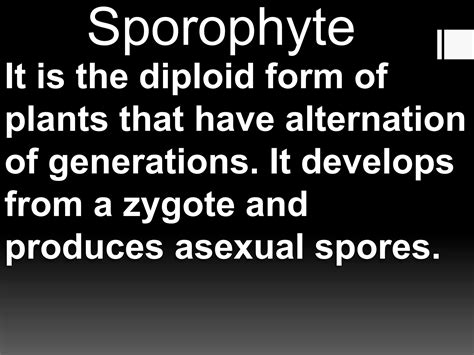Spore And Cone Bearing Plants Vegetative Propagation Pptx