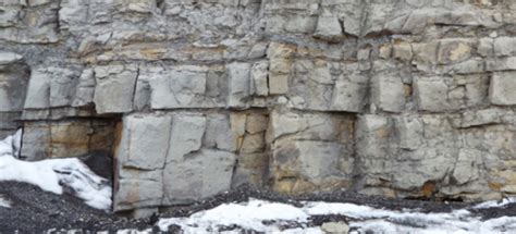 Finer Grained Sandstones And More Definitive Bedding At The Westward Download Scientific