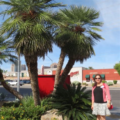 Daniela Silvesan Phd Memorial University Of Newfoundland St Johns Department Of