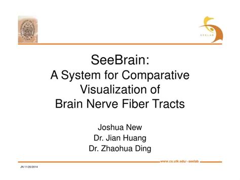 PPT SeeBrain A System For Comparative Visualization Of Brain Nerve Fiber Tracts PowerPoint