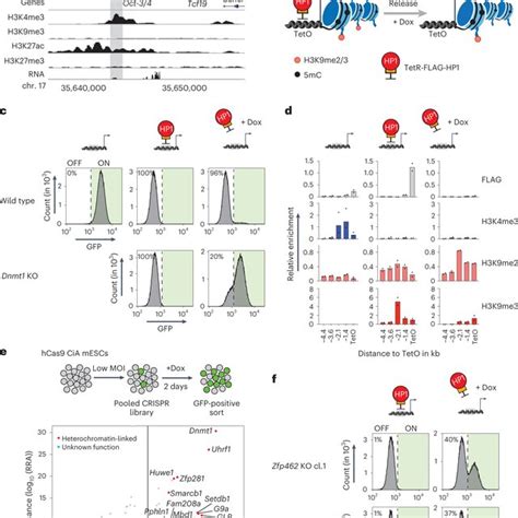 Crispr Screen Identifies Heterochromatin Regulators Required For