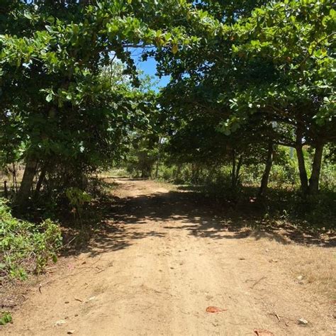 Delphine Delphinemilot On Threads