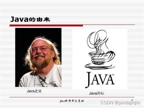 Java编程语言的发展与核心特性解析 Csdn博客