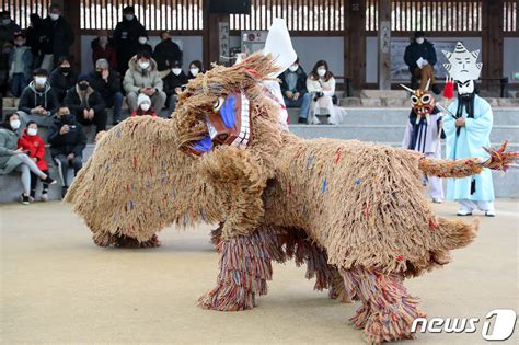 유네스코 인류무형문화유산 등재 속초사자놀이 특별공연 네이트 뉴스