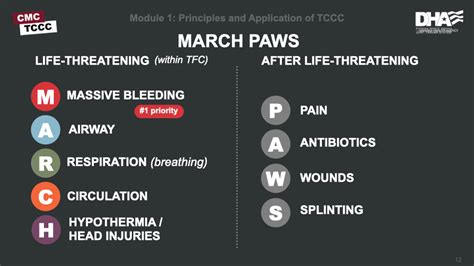 Army March Paws Principles And Application Of Tccc Qtoy