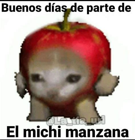 Michi Manzana Michi Manzana Imagenes De Chayanne Imágenes Divertidas