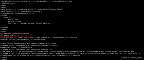 使用docker安装openresty并使用lua脚本实现通过请求头动态路由docker Openresty Csdn博客