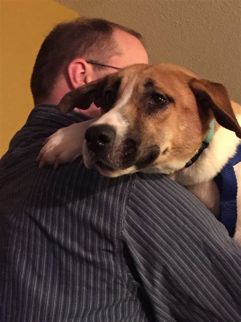 A Rescues Journey Meet Mavis