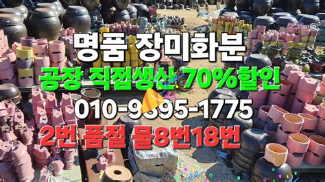 명품 화분 70할인행사 다육 다육식물 다육화분 화분분갈이흙 010 9395 1775 Youtube