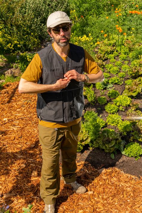 And Wander Cotton Twill Cap Understory Shop