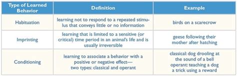 Biology Module 16 Flashcards Quizlet