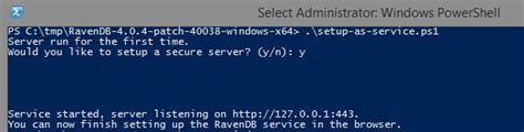 Installing And Running Ravendb On Windows And Linux Hildenco Solutions