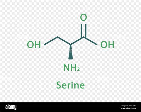 Lewis Structure Of Serine