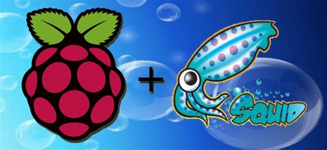 Progetto 7 Proxy Server Con Raspberry Pi Risposte Informatiche