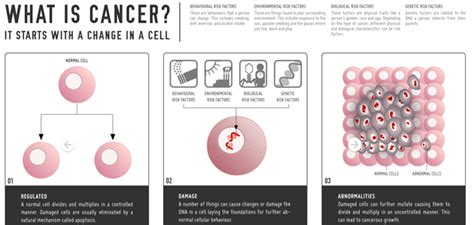Health Data Visualization Contest Winners Ion Interactive