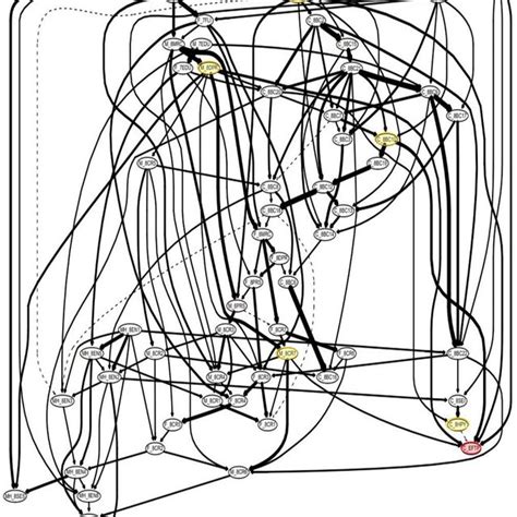 Class 12 Class 3 Threshold 85 Bayesian Network Structure Each Download Scientific