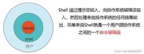 【linux】shell 脚本入门详解linuxshell脚本入门 Csdn博客 【linux】shell 脚本入门详解linuxshell脚本入门 Csdn博客
