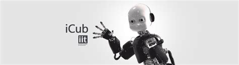 Icub Lubo Robot Shanghai Co Ltd
