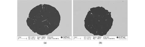 Examples Of Graphite Nodule Surface Morphologies In Alloys Containing Download Scientific