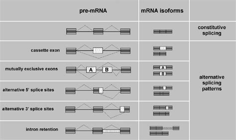 Different Patterns Of Alternative Splicing Exons Are Represented By