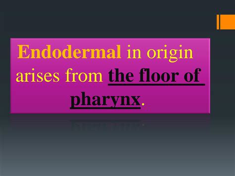 Solution Development Of Respiratory System Studypool