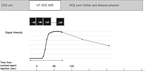 Ultrafast Dynamic Contrast‐enhanced Mri Of The Breast From Theory To