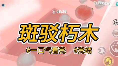 斑驳朽木我逃婚的第三天未婚夫在新房里自杀所有遗产都留给了我 完结 一口气看完 小说推荐 虐文 言情 豪门总裁 破镜重圆 重生 YouTube