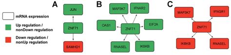 Direct Gene Co Expression Networks Of Znf71 And Intracellular Innate Download Scientific