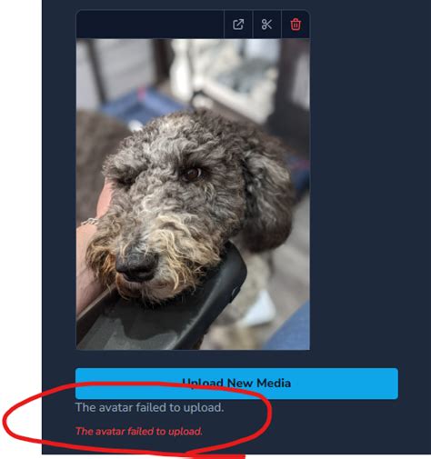 Error Messages Appearing Twice · Issue 361 · Ebessadvanced Nova Media Library · Github