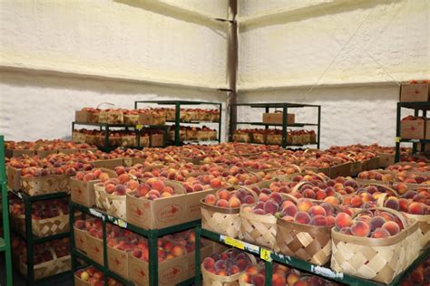 Lily Baucom Named Executive Director Of Georgia Foundation For