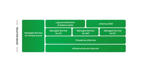 Managed Sap Deda Tech