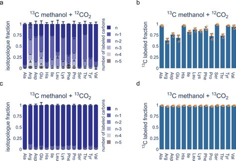 Methanol Incorporation Into Protein Bound Amino Acids By The Evolved