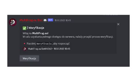 Professional Discord Bot Development For Your Server By Kuczitoja Fiverr