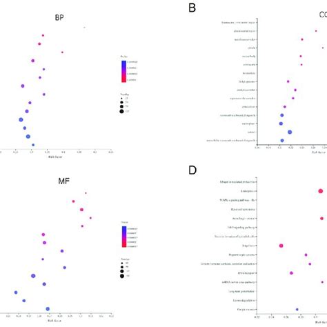 Go Analysis And Kegg Pathway Analysis The Target Genes Significantly