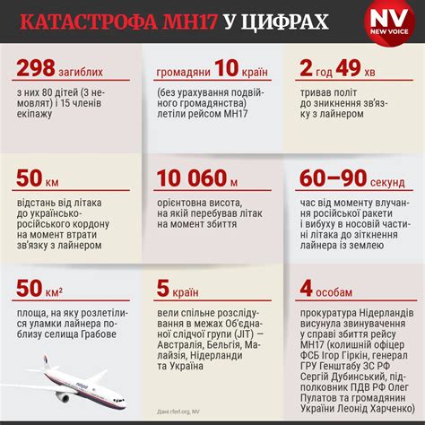 ЄСПЛ виніс рішення щодо Росії у справі про збиття літака Mh17 на