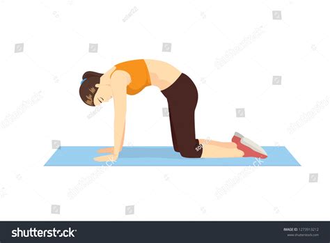 Woman Doing Exercise Cat Cow Pose Stock Vector Royalty Free