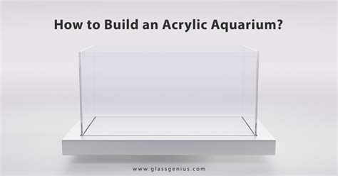How To Build An Acrylic Aquarium