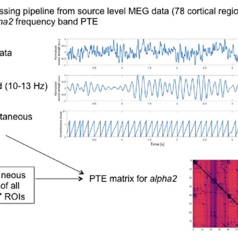 Processing Pipeline From Source Level Meg Data 78 Cortical Regions To