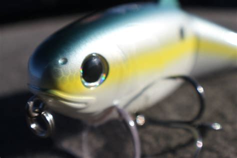 Wake Up And Smell The Bass A Tutorial On Fishing Topwater Wake Baits