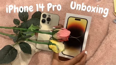 Iphone 14 Pro Gold Aesthetic Unboxing Casetify Case Youtube