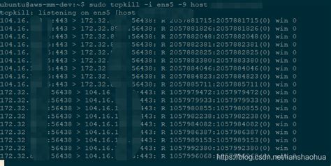 Linux 使用bash命令关闭tcp连接linux 断开tcp连接命令 Csdn Csdn博客