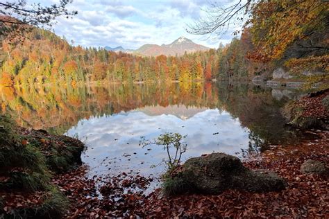 Arabella Hot Arabella Hot Added A New Photo — At