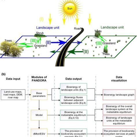 Theoretical Assumption A And Framework B Of The Pandora Model Download Scientific Diagram