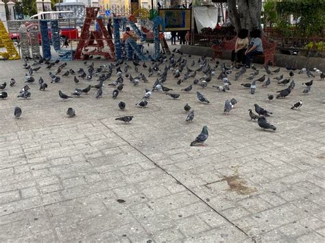 Discuss Everything About Hellmet Wiki Fandom