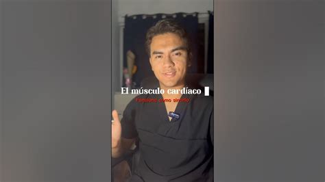 El Músculo Cardiaco Funciona Como Un Sincitio 🫀 Youtube