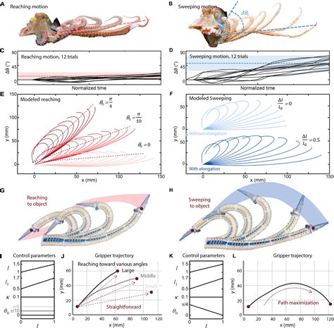 Octopus Inspired Sensorized Soft Arm For Environmental Interaction