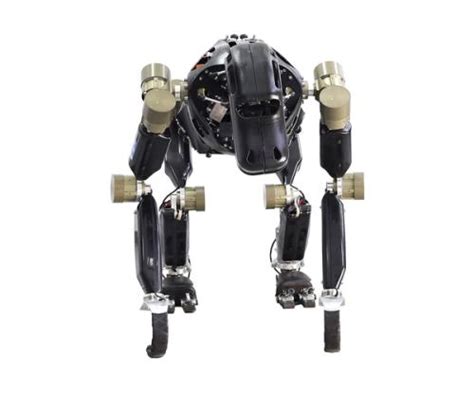 Charlie Robots Your Guide To The World Of Robotics